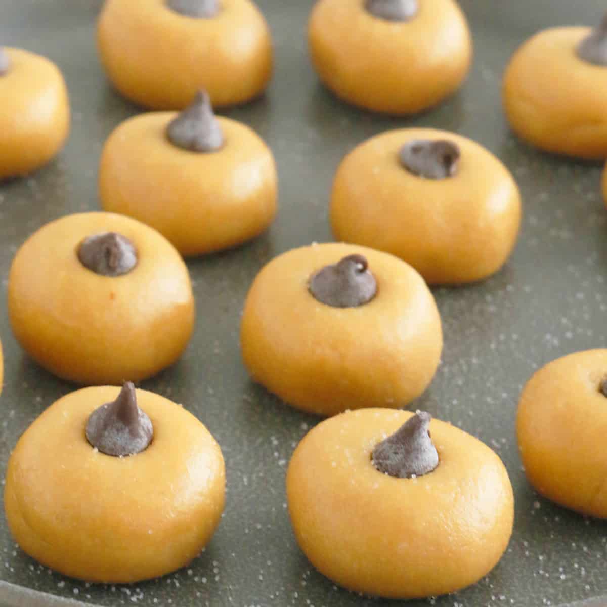 No Cook, 4 Ingredient, Raw Almond Bites | KITCHEN @ HOSKINS