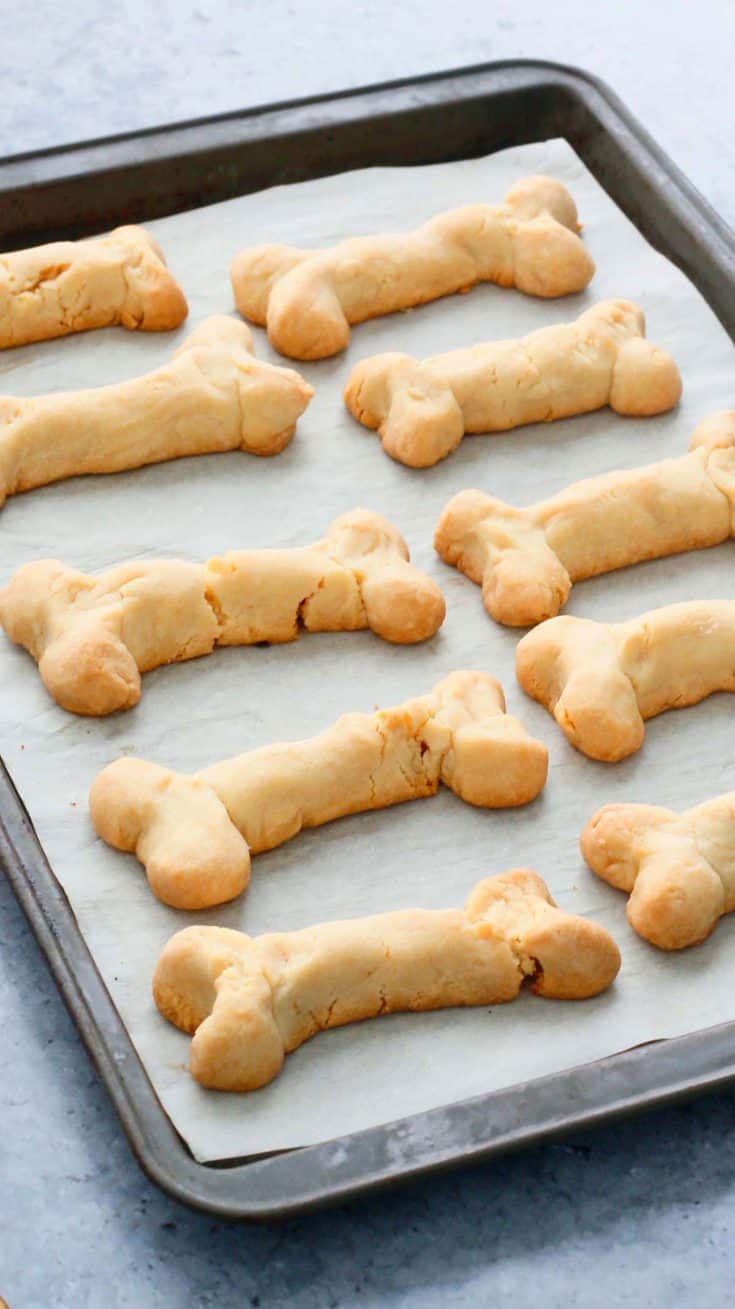 Halloween Bone Cookies | Kitchen At Hoskins